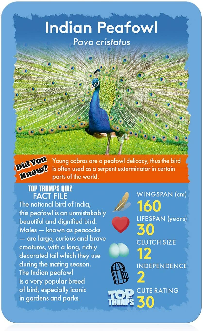 Birds Top Trumps Card Game | eBay