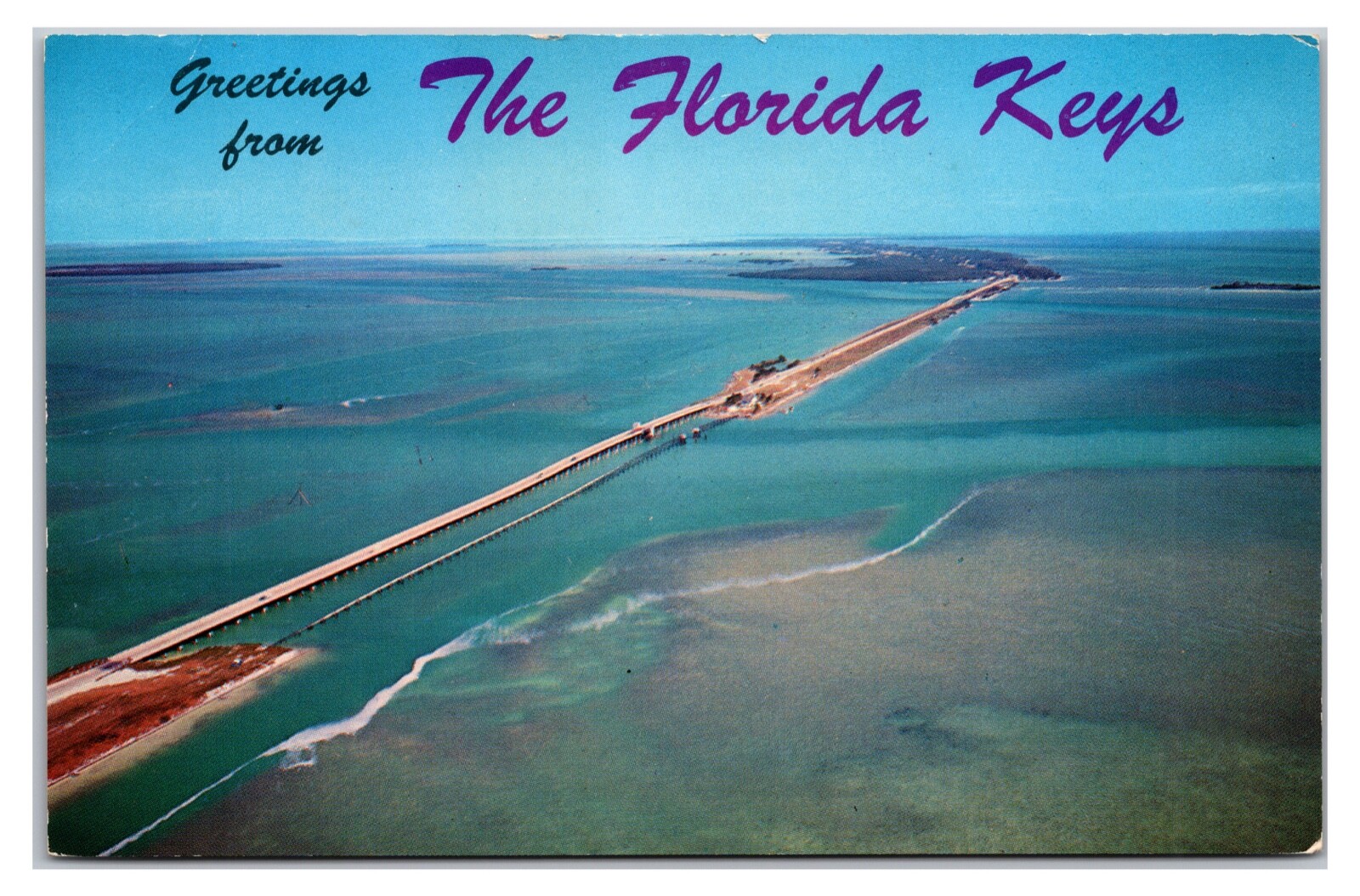 Vintage 1960s- Greetings From The Florida Keys - Postcard (UnPosted) | eBay
