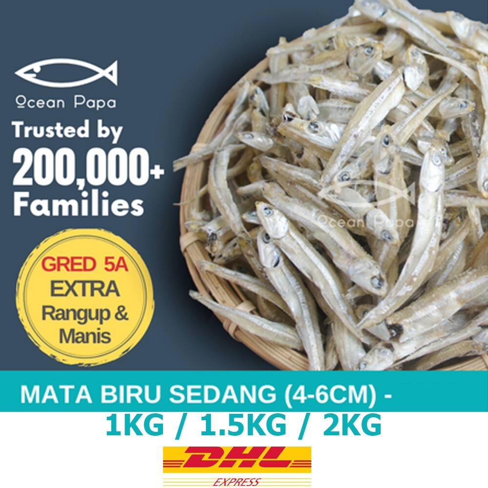 Dried Anchovies Bilis Mata Biru Papa Ocean Grade 5A (1KG/1.5KG/2KG) DHL ...