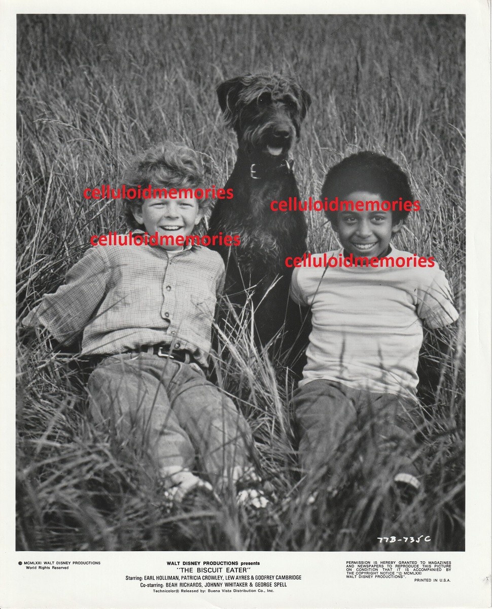 Disney Johnny Whitaker Whitaker Lion Jodie Napoleon Samantha Hi Res