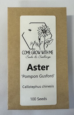 Aster 'Pompon Gusford' 100 seeds (Callistephus chinesis) Flower Garden ...