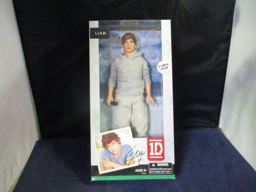 Year 2012 One Direction 1D Video Collection 12" Doll LIAM PAYNE Grey ...
