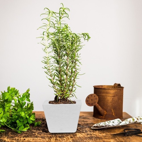 3 Count Flower Pot Drainage Mesh Pad Potting Mat Flowerpot Base Square ...