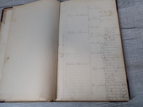 1890's 1900's school teachers notebook journal record book Blackmer ...