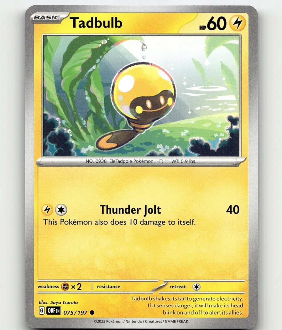 Pokemon - Tadbulb 075/197 - Obsidian Flames | eBay