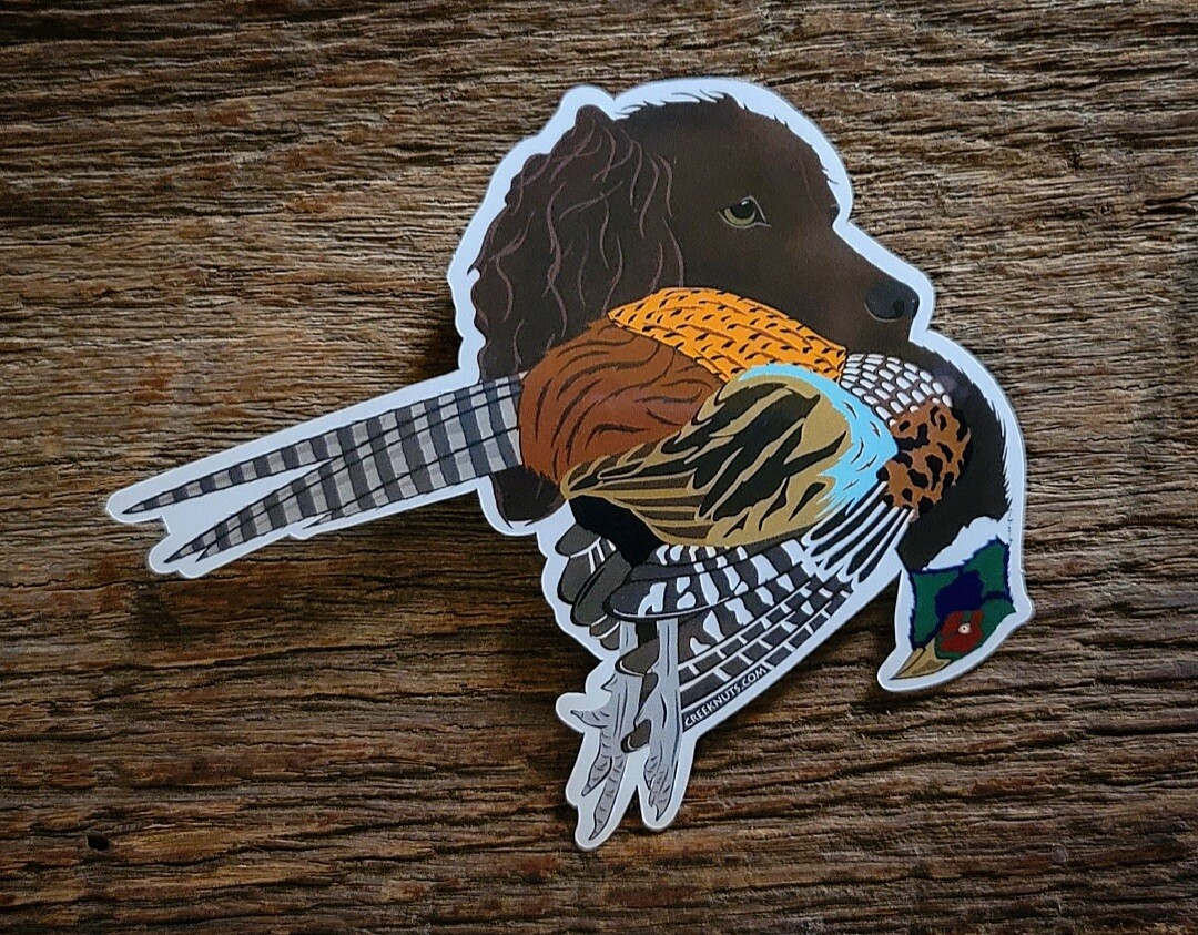 Duck Hunting Dog Decals