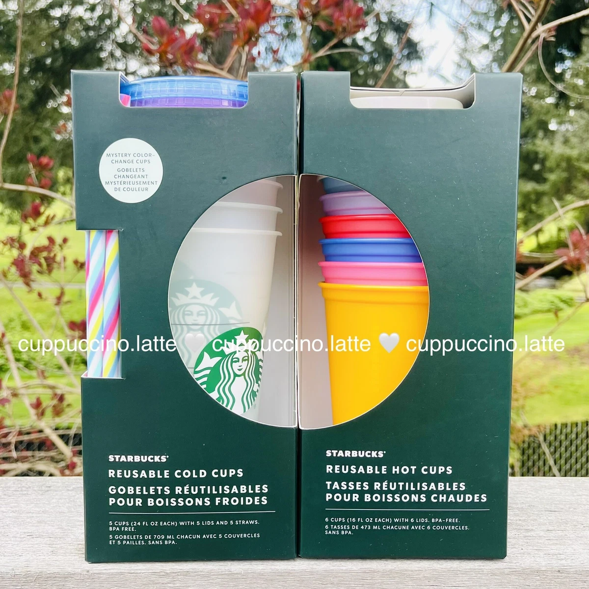 Starbucks Cup Boxes