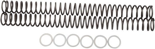 Fork Springs .95KG Race Tech FRSP 414642 | eBay
