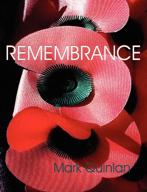 Remembrance von Mark Quinlan (2005, Taschenbuch) online kaufen | eBay.de