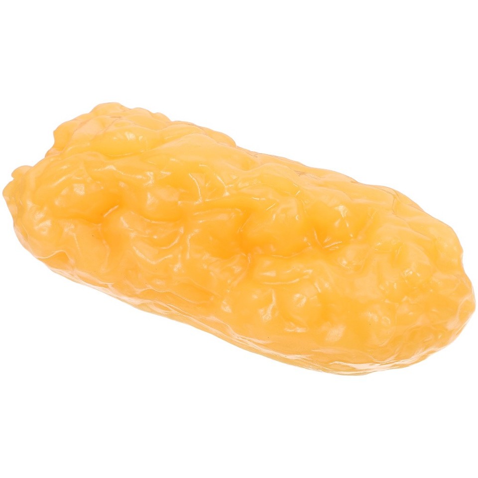 Human Body Fat Model Realistic Clinical Display Tool for Body | eBay ...