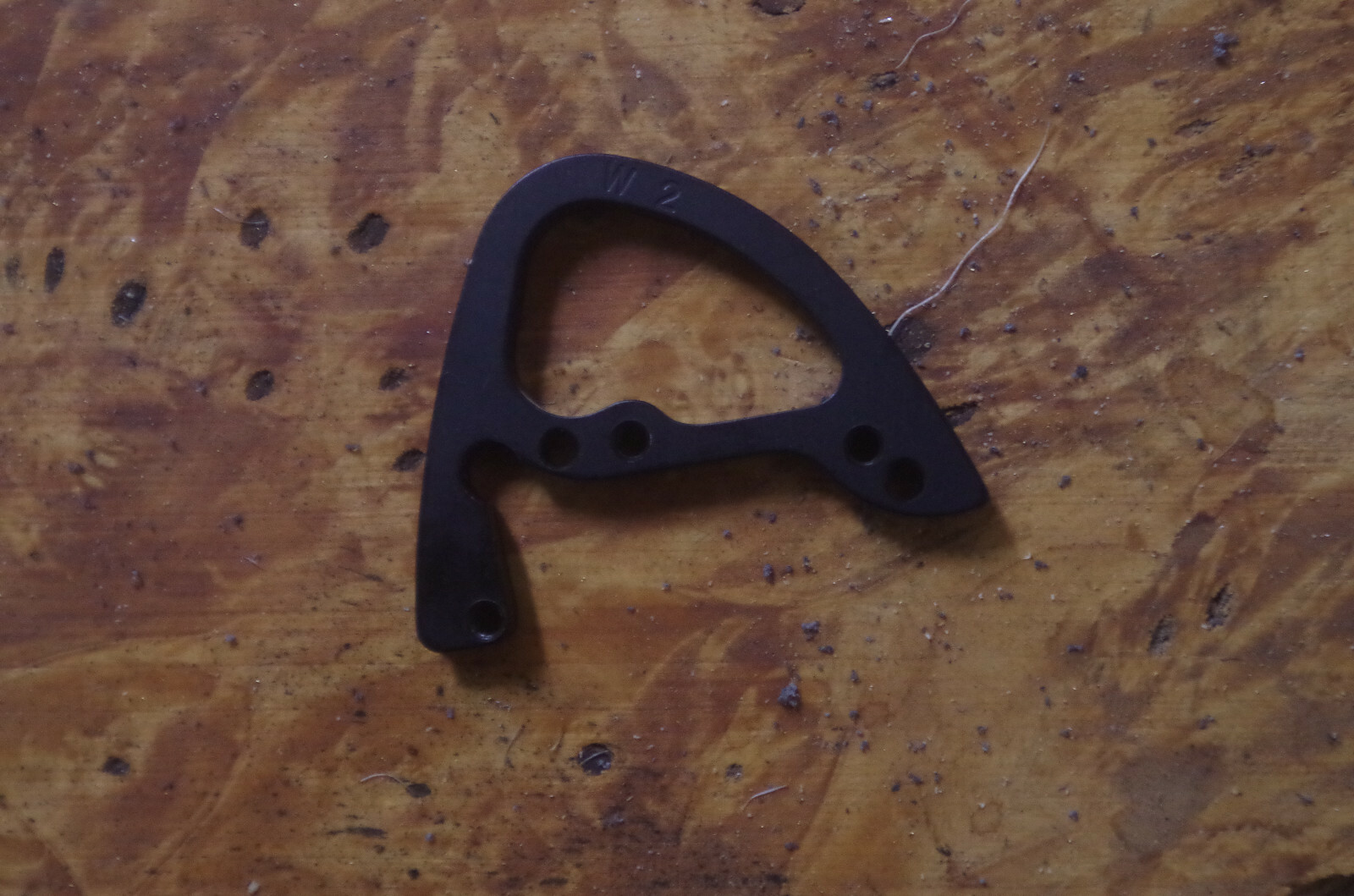 Bear Golden Eagle Jennings Buckmaster W2 Single Cam Module W2 Archery ...