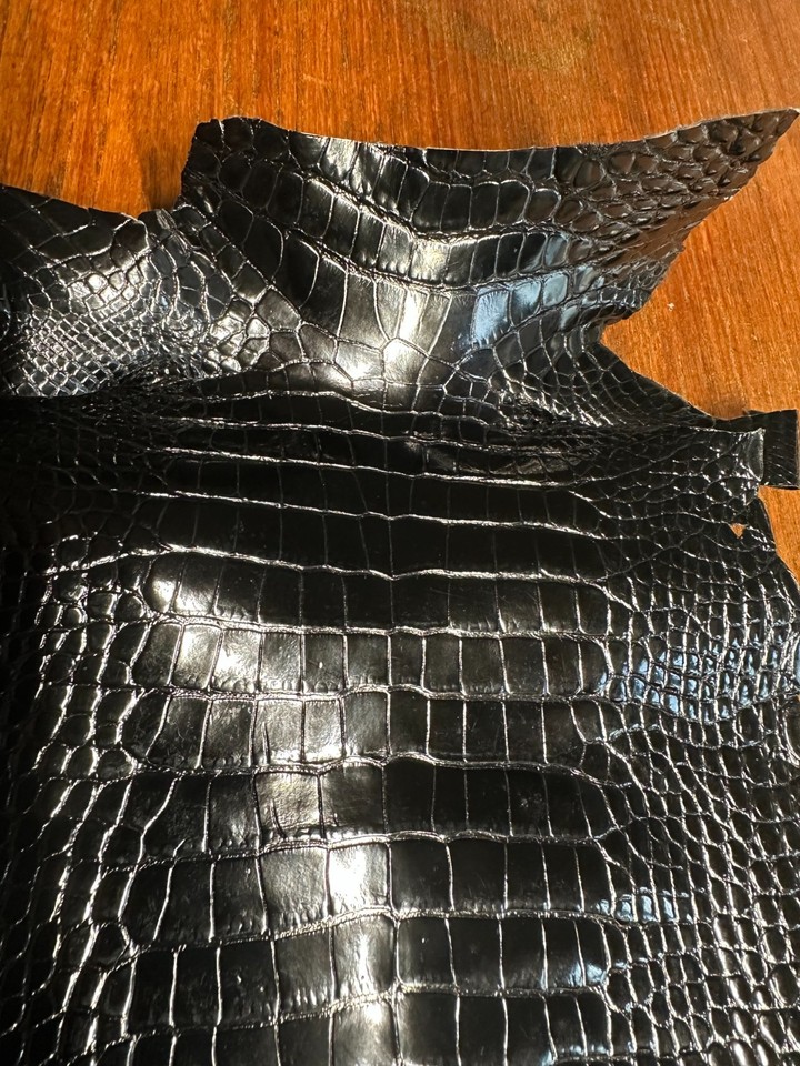 Genuine American Alligator gator From Hide Skin Pelt swamp leather ...