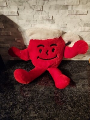 Vintage Kool Aid The Awesome Dude Plush Doll 13" Original Version | eBay