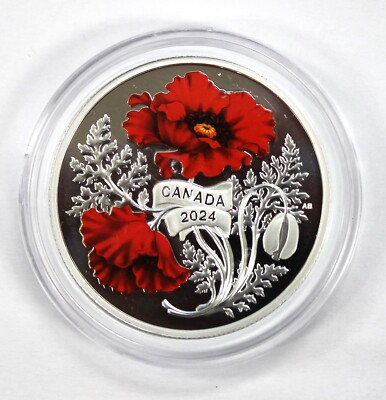 CANADA 2024 REMEMBRANCE DAY $20 1 Oz FINE SILVER PROOF POPPY COIN | eBay