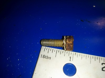 x6 screws 0553556 553556 spl112 112hp johnson evinrude (s 4e) | eBay