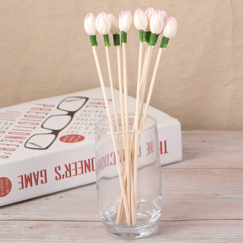 10Pcs Diffuser Stickers Rattan Diffuser Sticks Essential Oil Diffuser ...