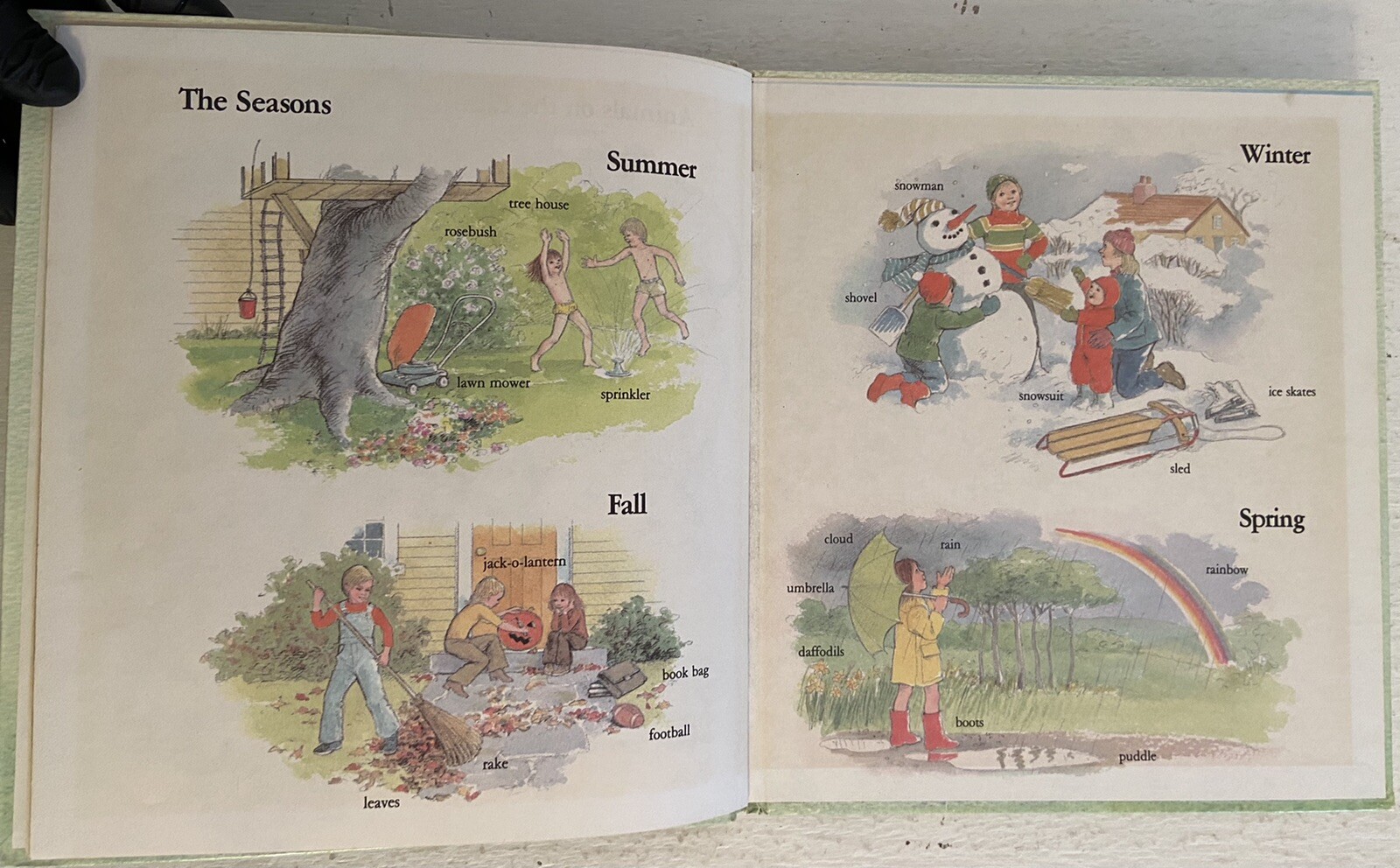 My First Book of Words by Jan Palmer (1980 Hardcover Book) - VG ...