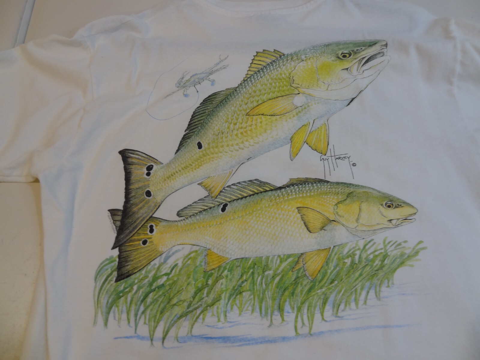 Guy Harvey Trout