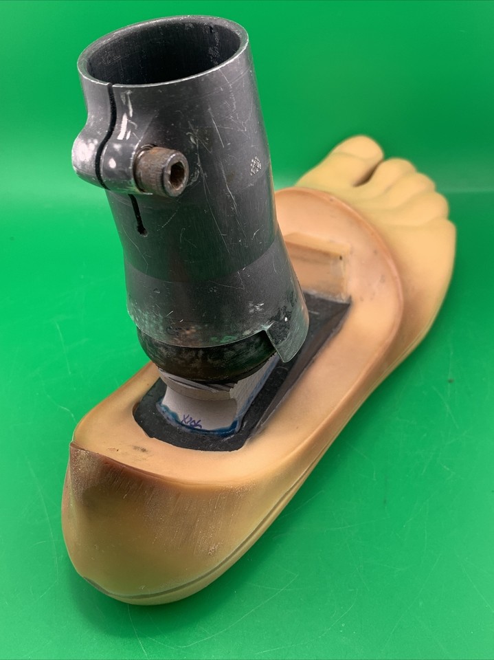 endolite blatchford multiflex prosthetic foot and Ankle. Right Foot ...