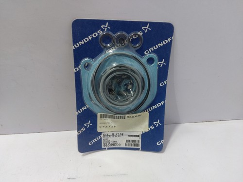 Grundfos 96509609 O-Ring Kit | eBay