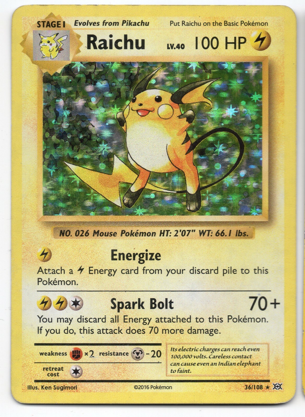 Pokemon Evolution Raichu