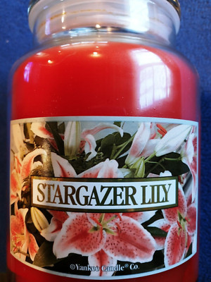 NEW YANKEE CANDLE STARGAZER LILY CORAL KISSES CANDLE LARGE 22 oz JAR ...