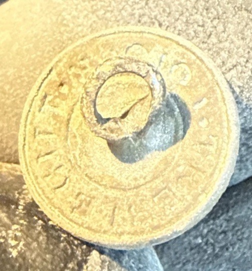 Dug Civil War 💥 🇺🇸 💣 Confederate Flower Button | eBay