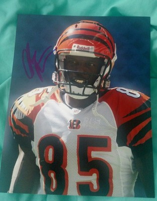 CHAD JOHNSON SIGNED 8X10 PHOTO OCHOCINCO CINCINATTI BENGALS NFL W/COA ...
