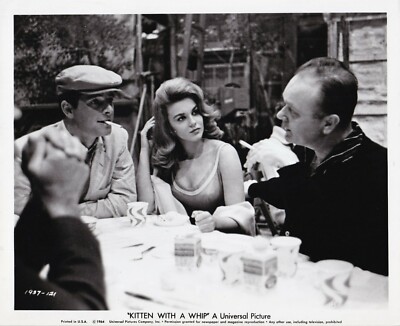 Douglas Heyes Ann Margret Peter Brown Kitten With A Whip Original ...