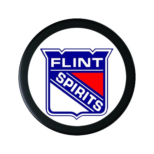IHL Retro Style 1990's Flint Spirits Souvenir Hockey Puck NEW | eBay