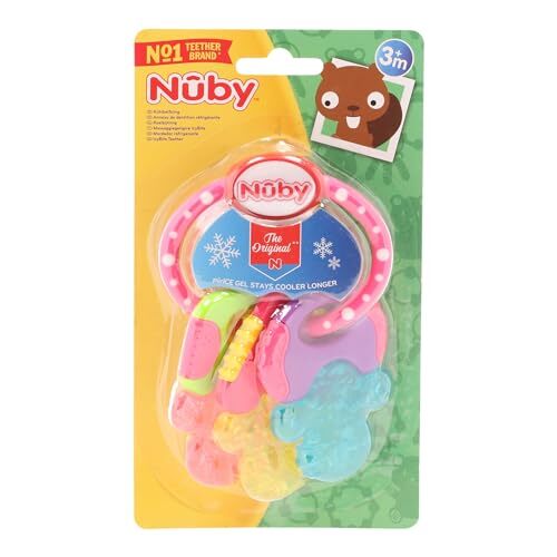 Nuby Ice Gel Teether Keys 1 Count Pack of 1 | eBay