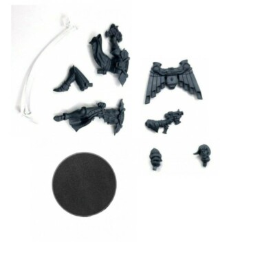Adepta Sororitas SERAPHIM MODEL Sisters of Battle 40K (A) | eBay Australia
