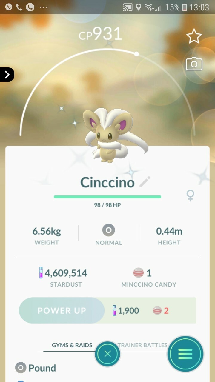 Pokémon Shiny Cinccino ( Minccino Evolution ) GO | eBay