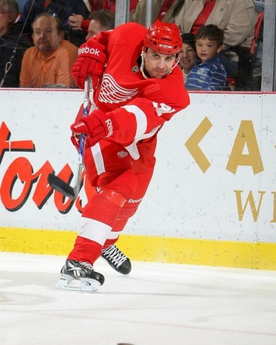 DOUG JANIK 8X10 PHOTO HOCKEY DETROIT RED WINGS PICTURE | eBay