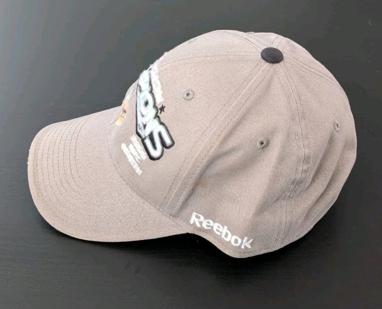 MINNESOTA VIKINGS 2009 BACK TO BACK DIVISION CHAMPIONS ADJUSTABLE CAP ...
