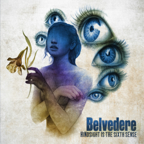 Belvedere Hindsight Is the Sixth Sense (Vinyl LP) 12" Album | eBay
