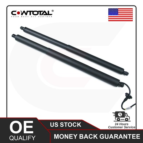 2x Liftgate Actuator Lift Support Strut Trunk Rear Hatch For Ford ...