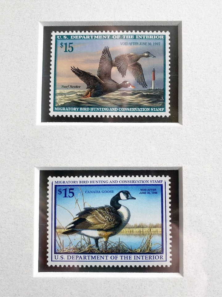 🔥 40 Federal Duck Stamps 1960-1999 Custom Framed by Decade w/ Brass ID ...
