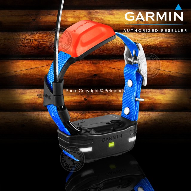 Garmin TT 15 Mini GPS Dog Tracking and Training Collar for sale online ...
