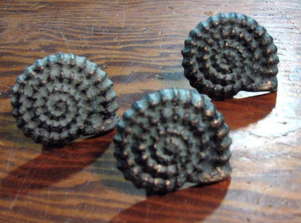 6 Cast Iron NAUTICAL Sea Shell Style Drawer Pull Barn Handle Door ...