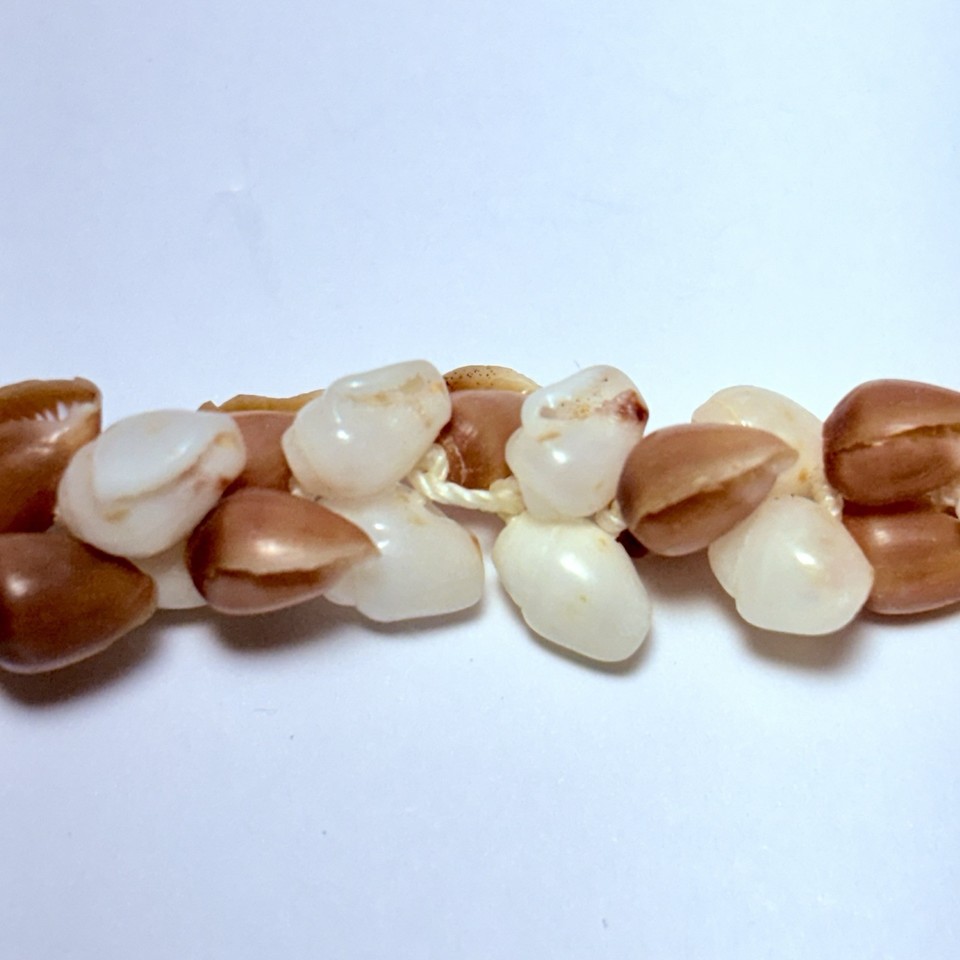 100% Hawaiian Niihau Momi Poleho Shells 20" Single Strand Lei Necklace ...