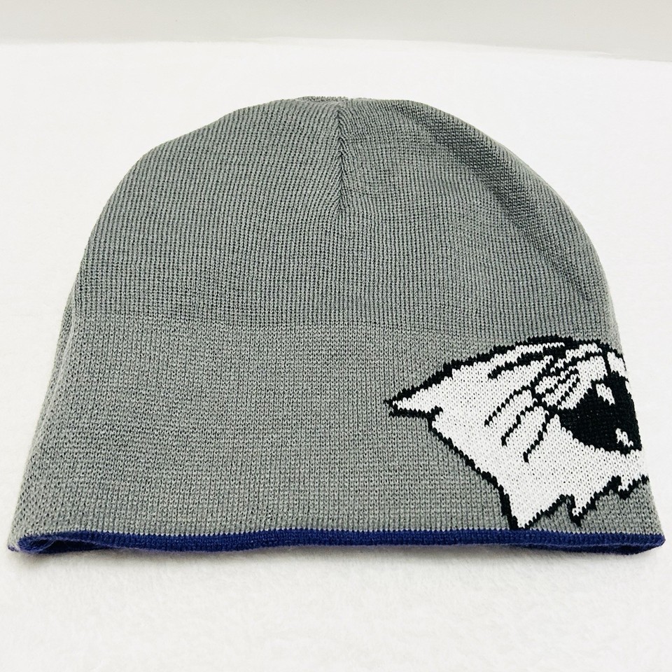 Captivating Northwestern Wildcats Reversible Beanie Knit Hat Cap Stripe ...
