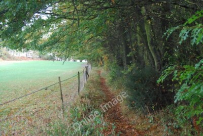 Photo 6x4 The 1066 Country Walk Battle/TQ7416 c2009 | eBay UK