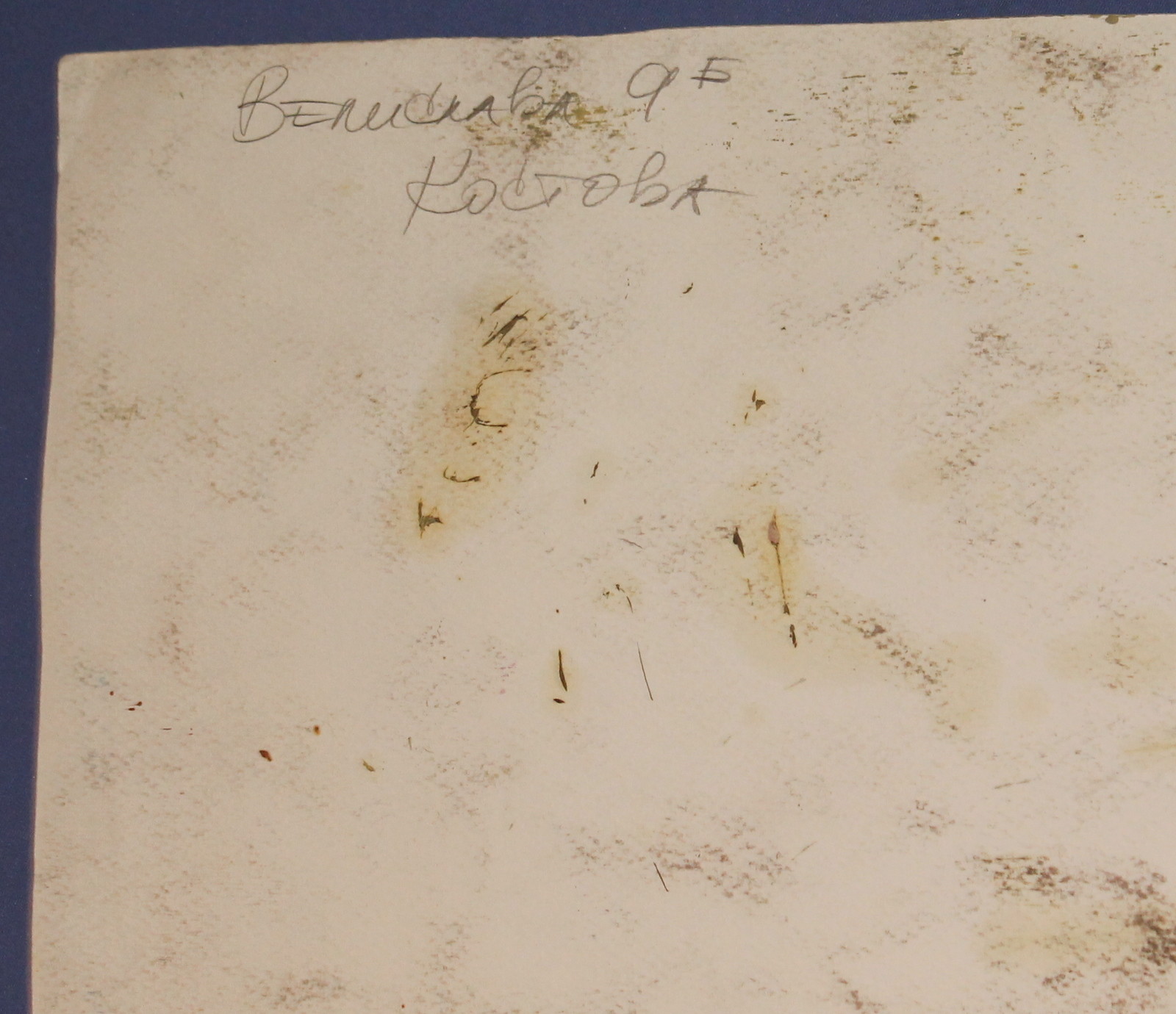 Vintage still life with garlic and onion gouache painting signed | eBay