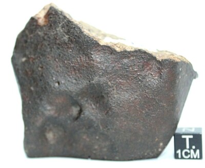 Meteorite NEA 031 L4 CHONDRITE, METEORITE 232 MAIN MASS, FROM OUTER ...