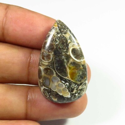 Natural Brown Turtella Gemstone 32x19 mm Turtella Smooth Pear Cabochon ...
