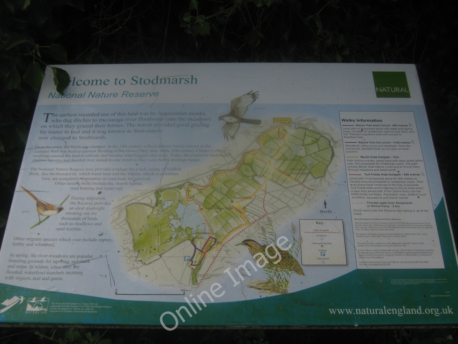 Photo 6x4 Stodmarsh Information Board Wall End/TR2363 Map and ...