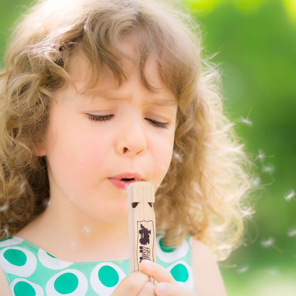 1pc Cartoon Train Pattern Whistle Musical Toy Wind Instruments | eBay ...