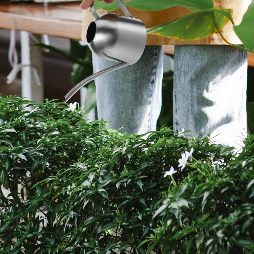 Succulent Watering Device Can Modern Stainless Steel Small Garden Tools ...