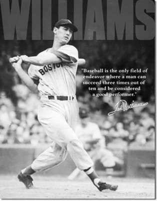 Ted Williams Quote MLB Baseball Player Batter Sport Metal Sign | eBay